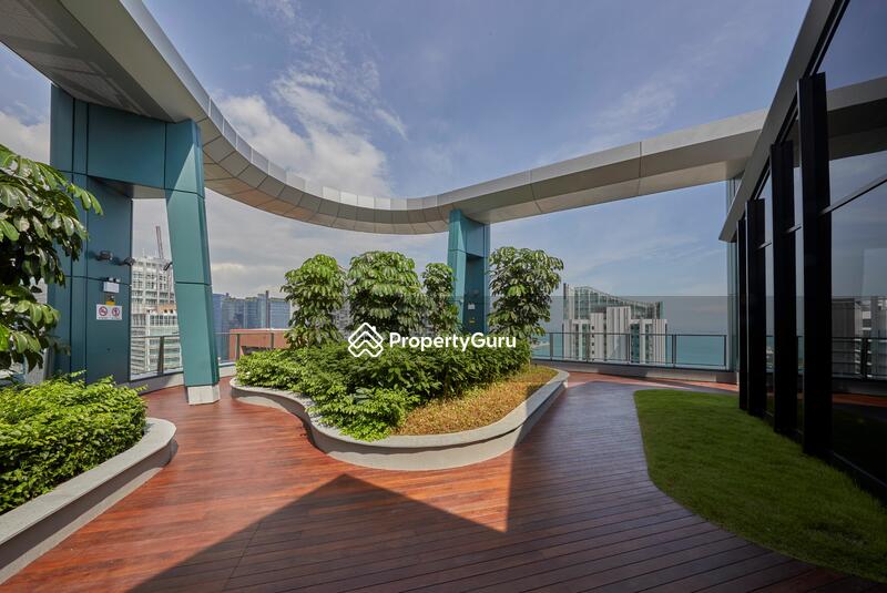 Hub Synergy Point – Price, Reviews & Availability (2025)