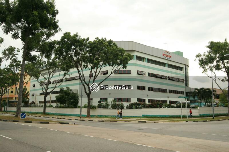 Nylect Industrial Building – Price, Reviews & Availability (2025)