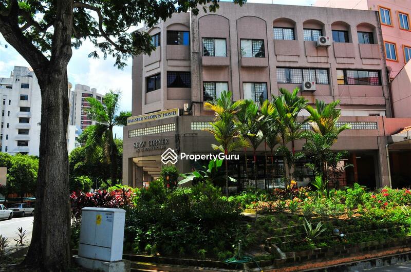 Shaw Corner – Price, Reviews & Availability (2025)