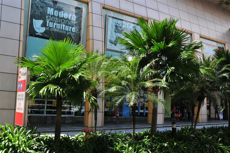 Shaw Plaza at Balestier / Toa Payoh in SG | CommercialGuru