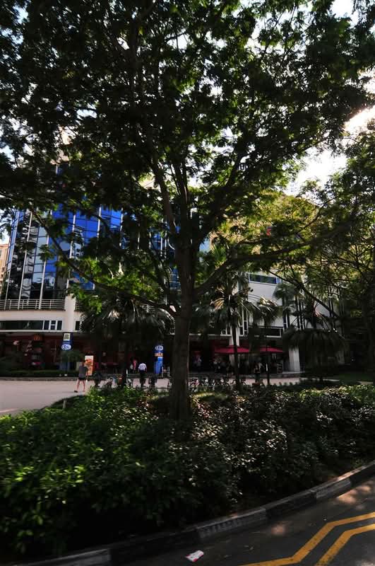 Simon Plaza at Hougang / Punggol / Sengkang in SG | CommercialGuru