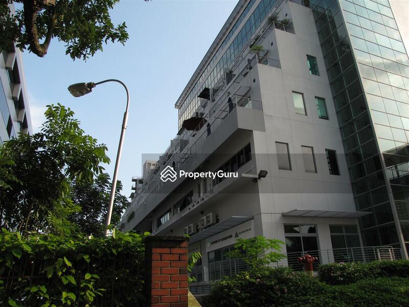 The Alexcier – Price, Reviews & Availability (2025)