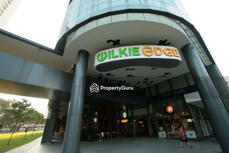 Wilkie Edge – Price, Reviews & Availability (2025)