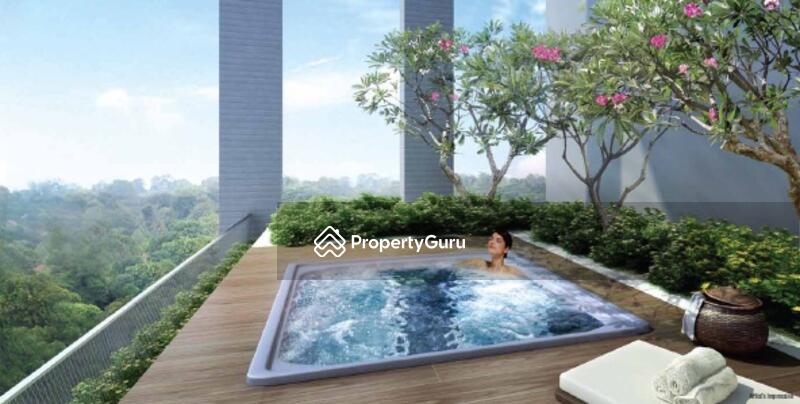 Spottiswoode 18 – Price, Reviews & Availability (2025)