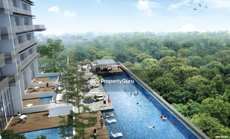 Spottiswoode 18 – Price, Reviews & Availability (2025)