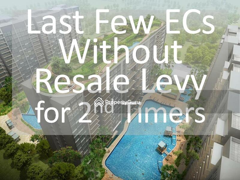 Rangoon 88 – Price, Reviews & Availability (2025)