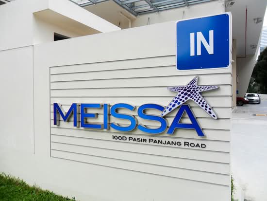 Meissa, 100D Pasir Panjang Road, 969 sqft, Business / Science Park For ...