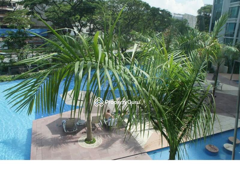 One Amber – Price, Reviews & Availability (2025)