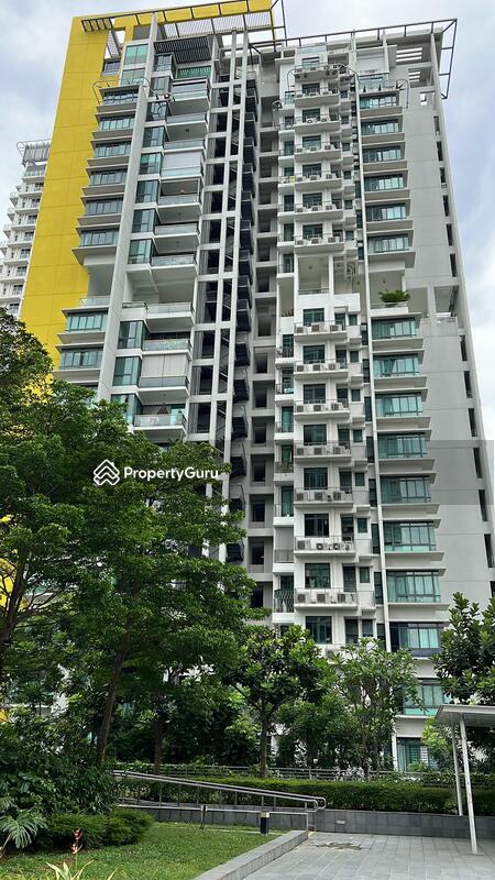 The Citrine - Price, Reviews & Availability (2026)