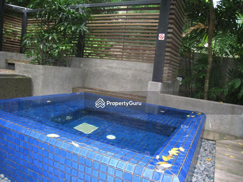 The Levelz - Price, Reviews & Availability (2026)