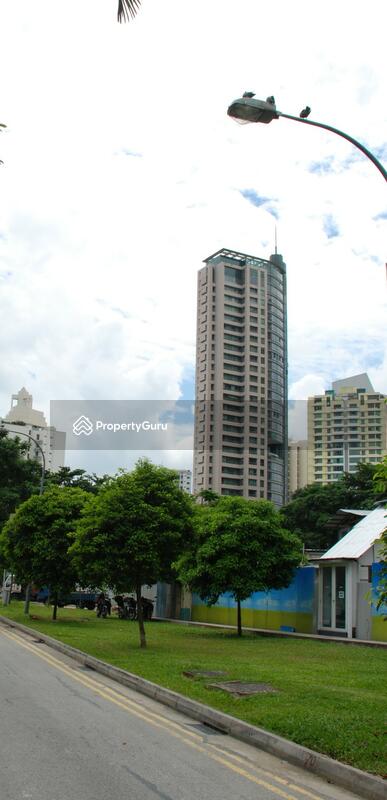 Newton 18 – Price, Reviews & Availability (2025)