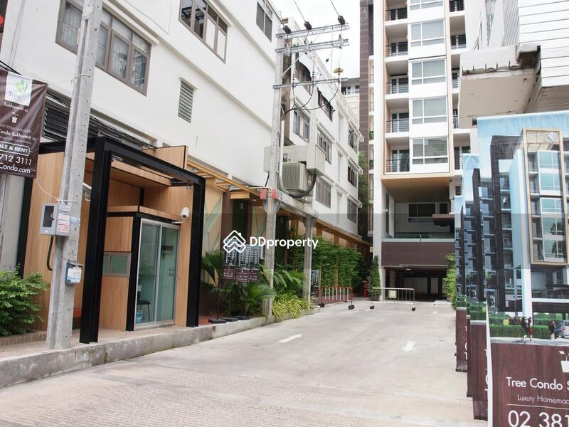 Tree Condo Sukhumvit 42 For Sale and Rental Updated