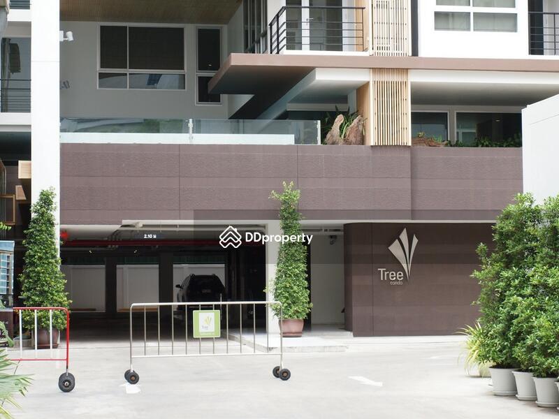 Tree Condo Sukhumvit 42 For Sale and Rental Updated