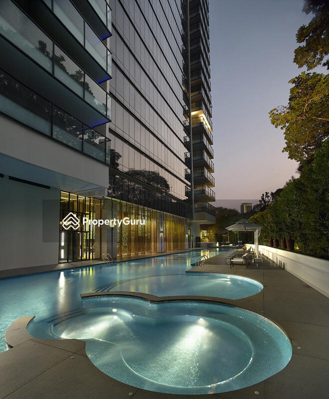 Reignwood Hamilton Scotts - Price, Reviews & Availability (2026)