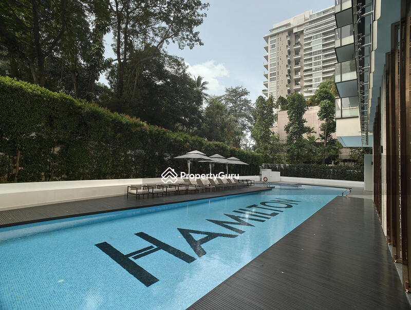 Reignwood Hamilton Scotts - Price, Reviews & Availability (2026)