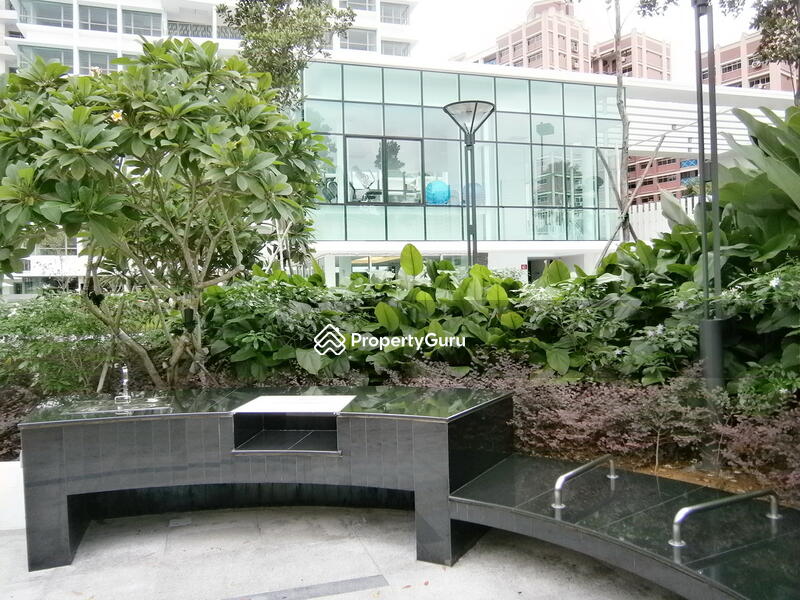 Trevista – Price, Reviews & Availability (2025)