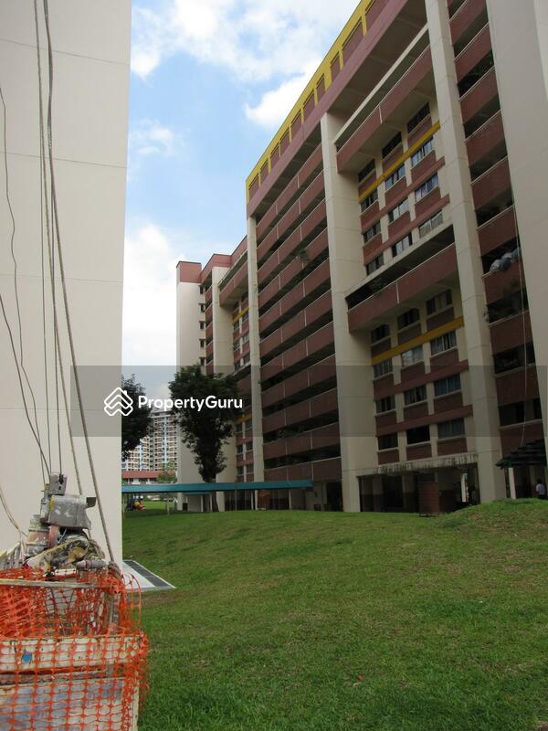 251 Bangkit Road HDB Details in Dairy Farm / Bukit Panjang / Choa Chu Kang