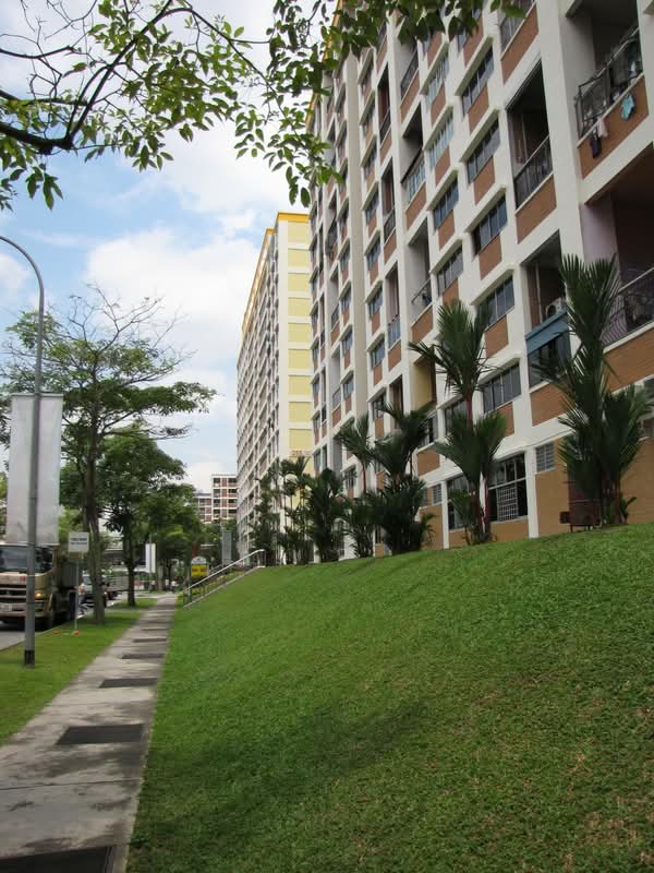 254 Bangkit Road HDB Details in Bukit Panjang | PropertyGuru Singapore