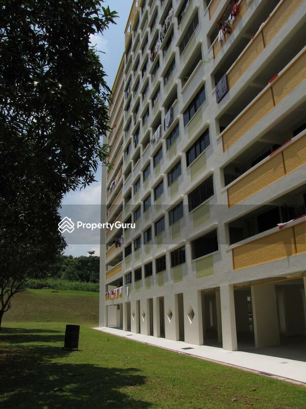 273 Bangkit Road HDB Details in Bukit Panjang | PropertyGuru Singapore