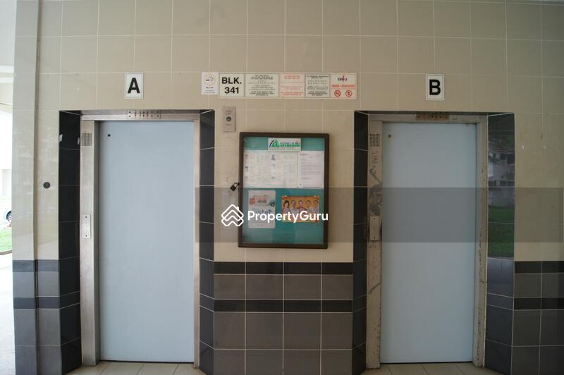 341 Bukit Batok Street 34 HDB Details in Dairy Farm / Bukit Panjang / Choa Chu Kang